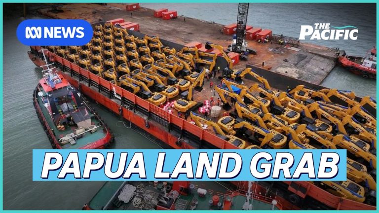 West Papua deforestation exposed in new documentary ‘Pesta Babi’ | The ...
